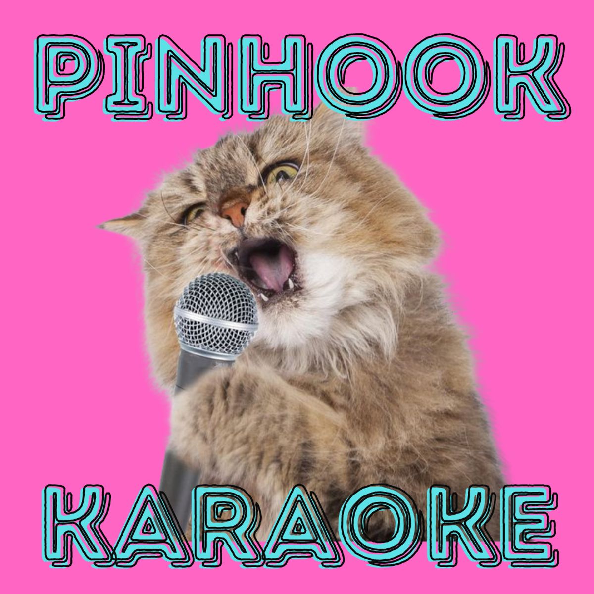 The Pinhook | Live Music, Concerts, & Events | Durham